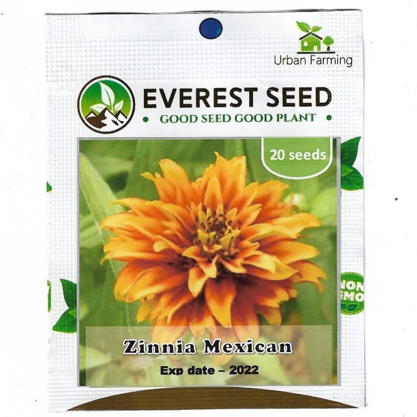 Jual isi 20 benih biji zinnia mexica haganeana Everest Seeds | Shopee Indonesia
