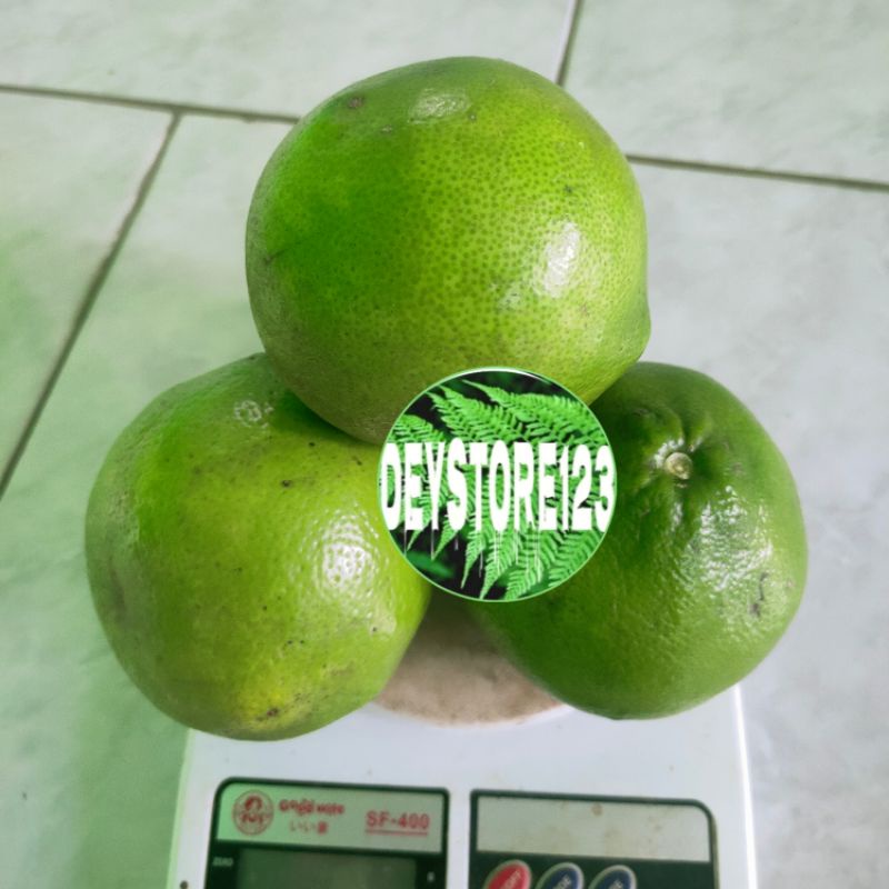 Jual Buah jeruk garut mini per 1 kg. | Shopee Indonesia