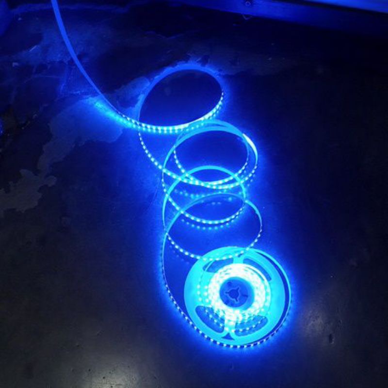 Jual YAMASAKI LAMPU LED STRIP MATA PENUH 2835 13W/M 120LED/M DC 12V WARNA BIRU | Shopee Indonesia