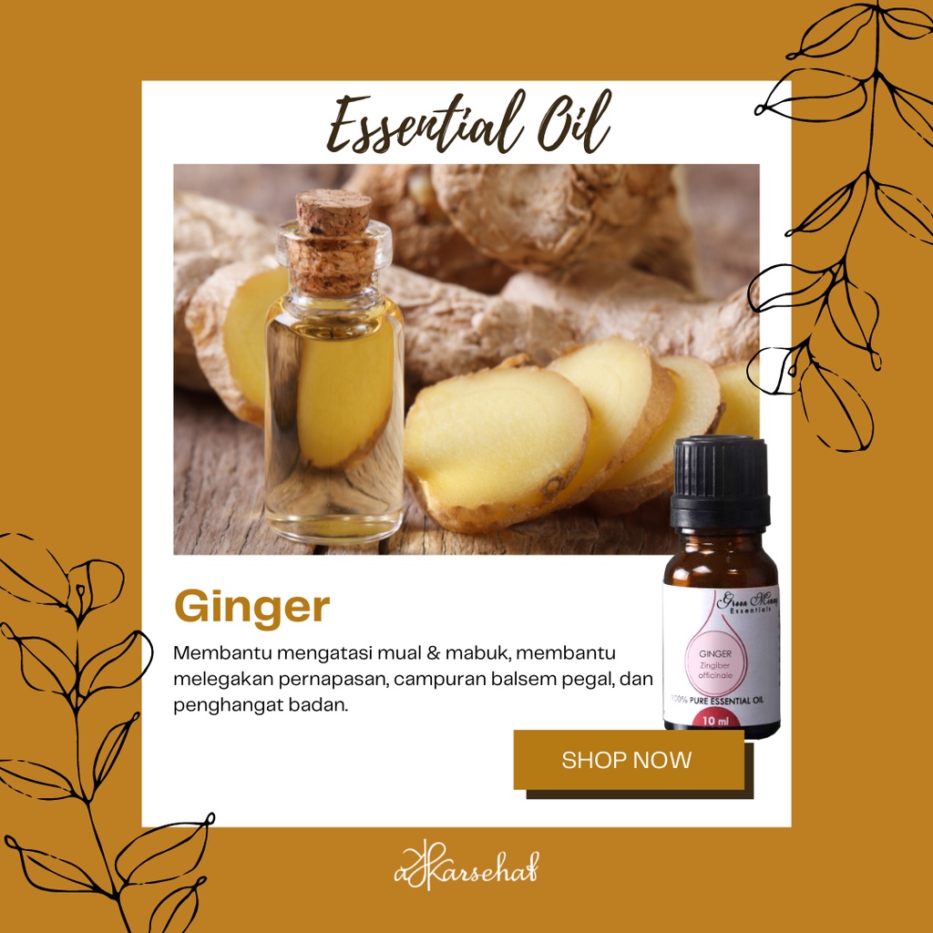 Jual Ginger Essential Oil/Minyak Atsiri/Aromaterapi Jahe GMS 5-10 ml | Shopee Indonesia
