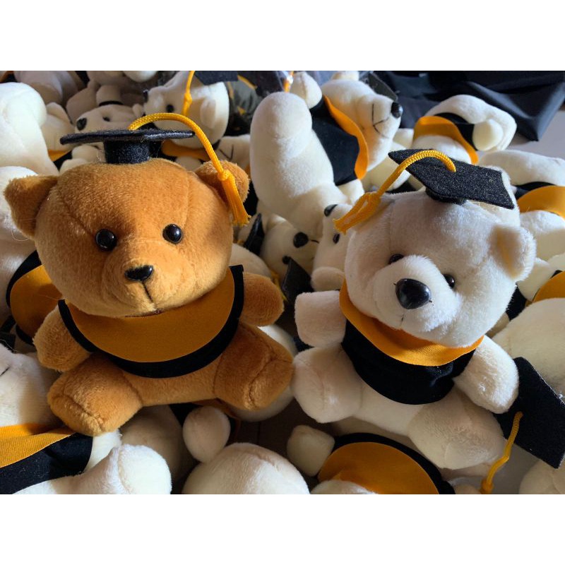 Jual Boneka Wisuda mini uk 15 cm boneka Teddy Topi boneka wisuda ...
