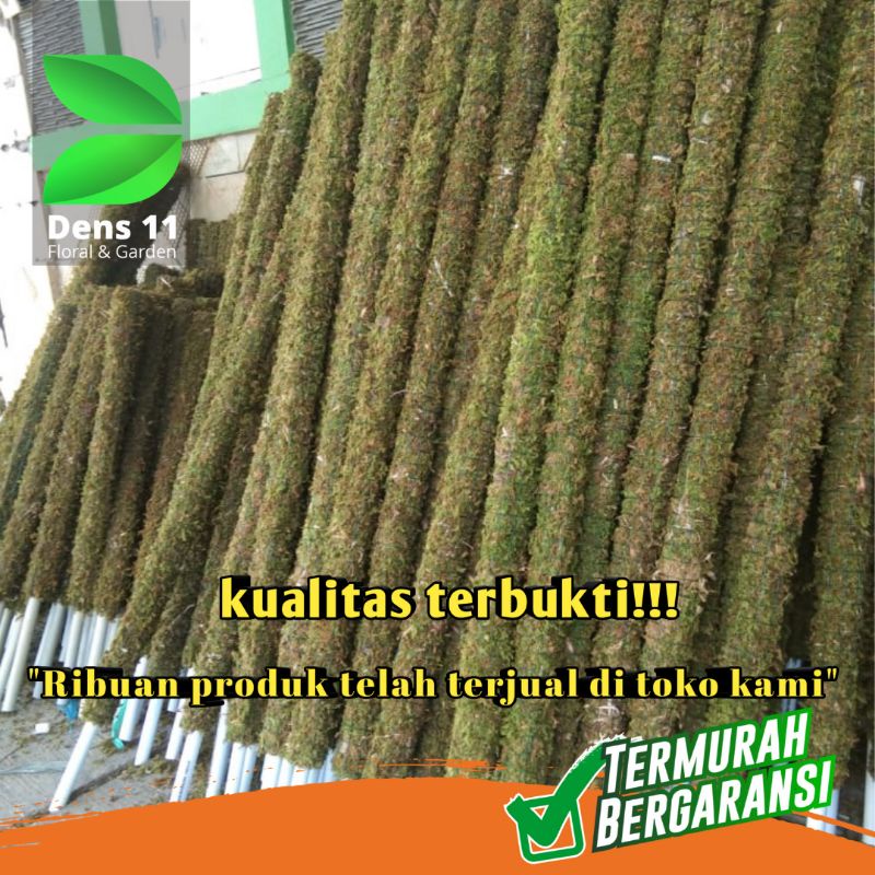 Jual Turus lumut pipa kawat hidup media tanam akar rambattermurah 100 ...