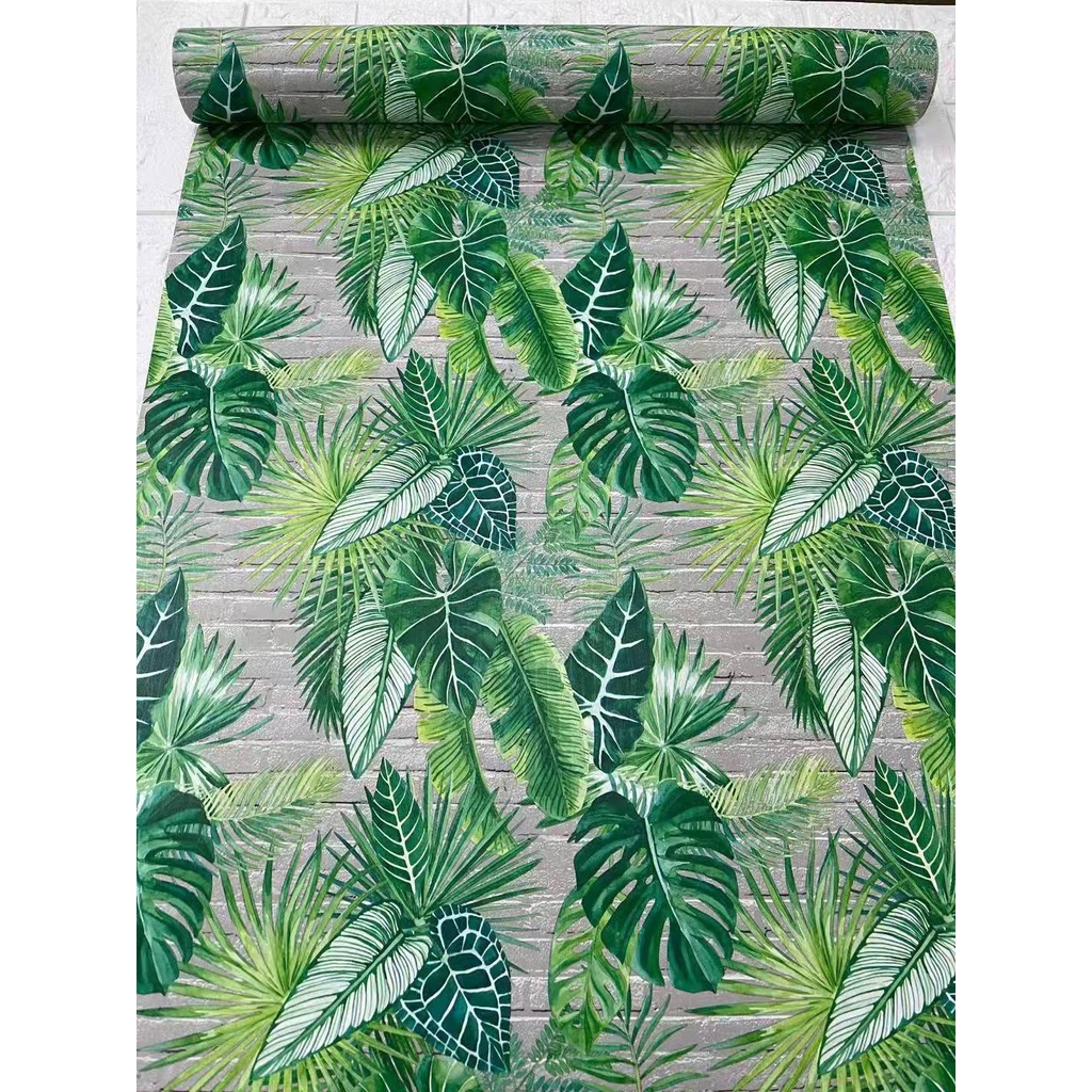 Jual Wallpaper Dinding Ukuran 45cmx10m Motif Daun Tropis Hijau Monstera