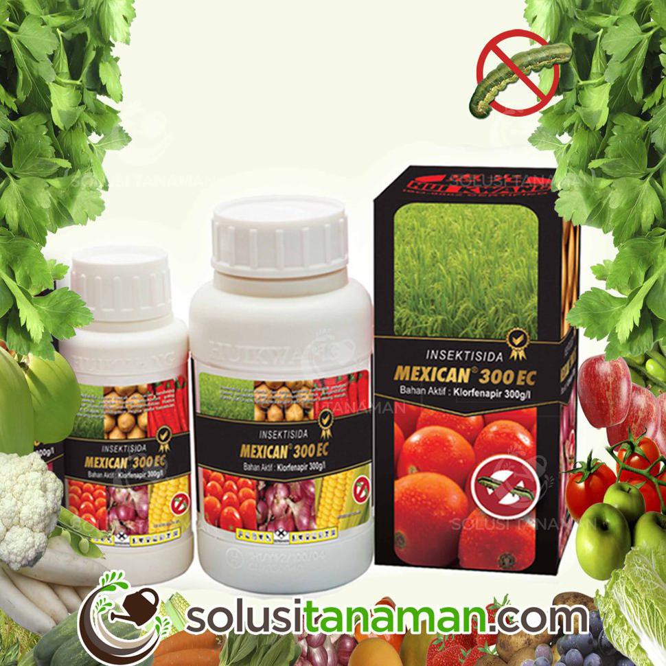 Jual Terlaris! Pestisida Mexican @ 80Ml Obat Insektisida Pembasmi Hama ...