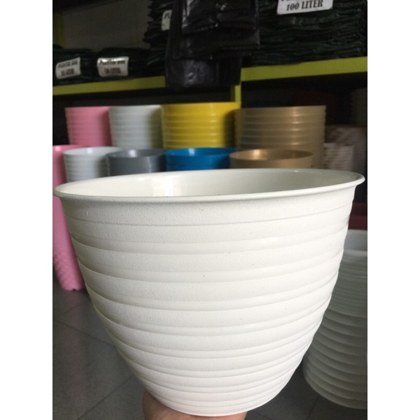 Jual Pot Tanaman Bunga Tawon Ori 24 Putih (BJP) | Shopee Indonesia