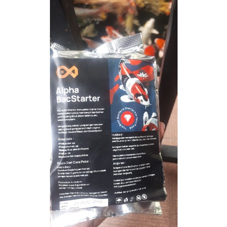 Jual BAKTERI STARTER ~ Alpha BacStarter 500gr | Shopee Indonesia
