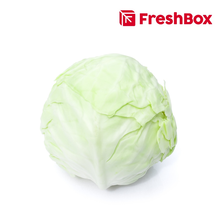 Jual Kol Putih White Cabbage 600 - 750gr FreshBox | Shopee Indonesia