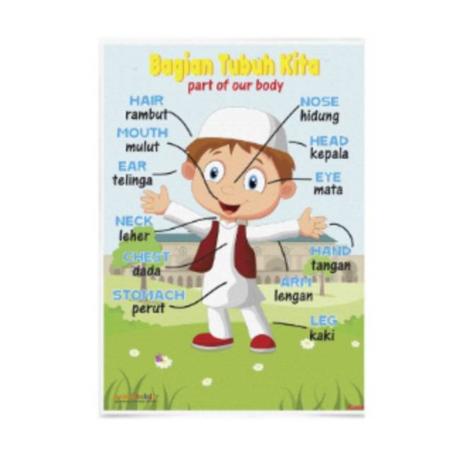 Jual Poster Edukasi / Anggota Badan Boys | Shopee Indonesia