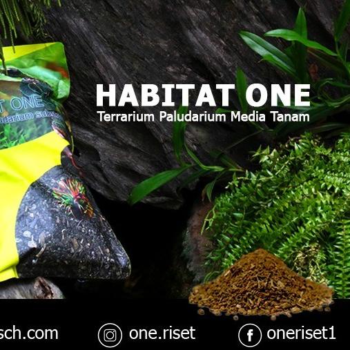 Jual One riset HABITAT ONE 1 LITER / MEDIA TANAM PALUDARIUM | Shopee Indonesia