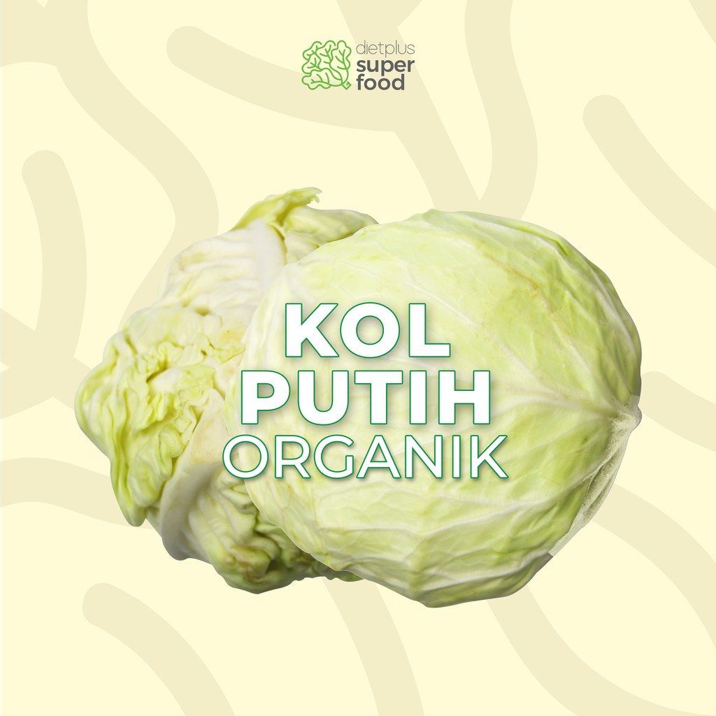 Jual Kol Putih Organik Segar 500 gr / 0.5 kg Dietplus Superfood ...