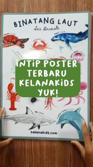 Jual Poster Edukasi A3 Binatang, Laut, Buah, Sayur, Tata Surya, Bagian ...