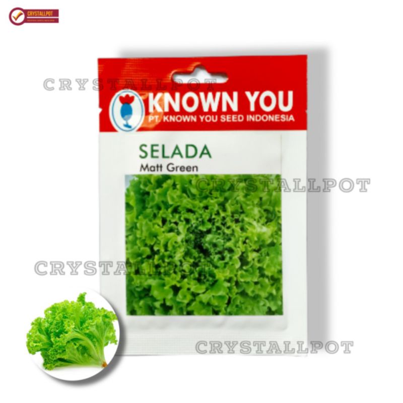 Jual benih bibit selada keriting hijau matt green known you seed - MATT GREEN KYS | Shopee Indonesia