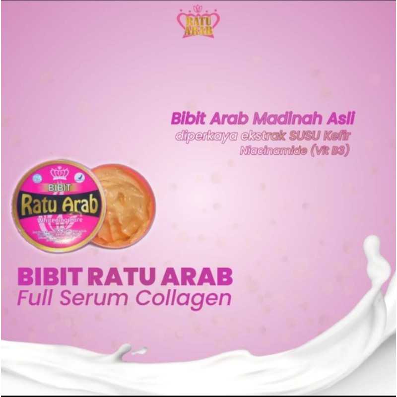 Jual BIBIT RATU ARAB ORIGINAL 100% || HALAL || BPOM | Shopee Indonesia