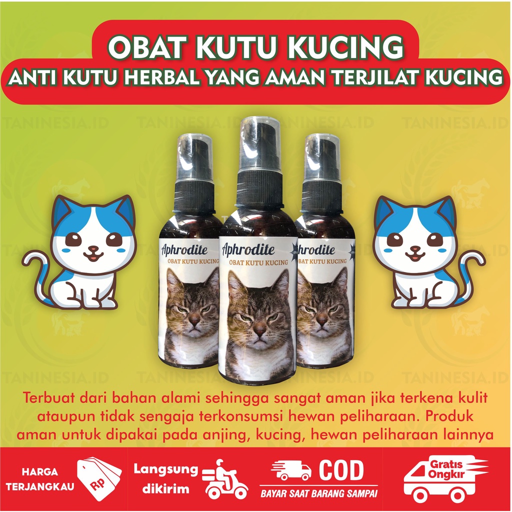 Jual OBAT KUTU KUCING AMPUH DAN TELUR KUTU SPRAY AMAN DIJILAT CAIRAN ...
