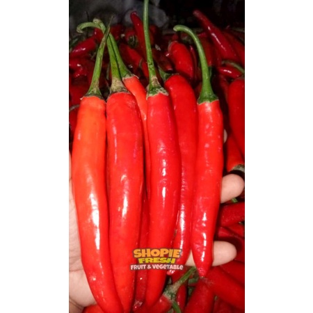 Jual Cabe merah besar super 500g | Shopee Indonesia