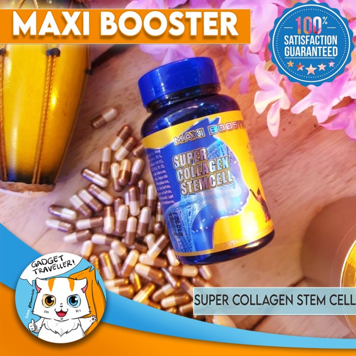 Jual ECER Maxi Booster Super Collagen Stem Cell The Cat Vitamin Kucing ...