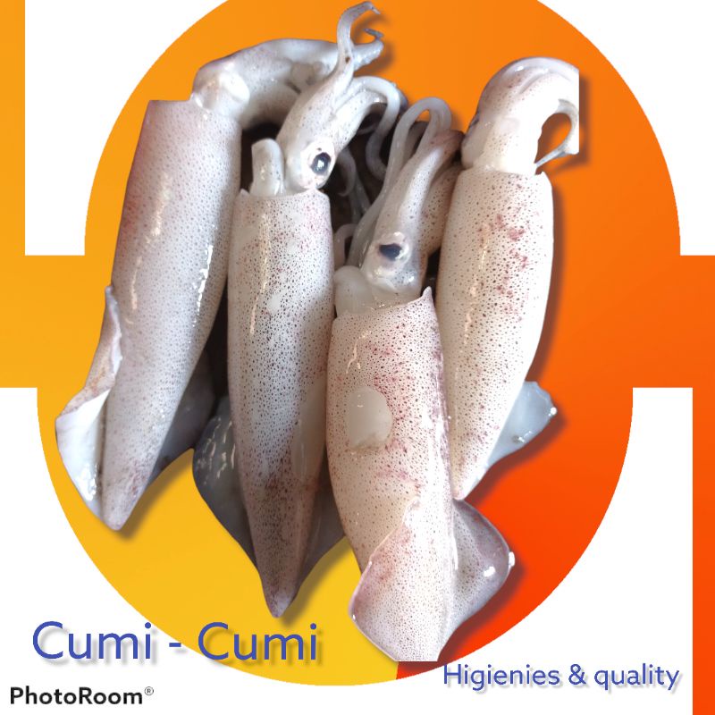 Jual Cumi fresh ukuran variasi 500gr | Shopee Indonesia