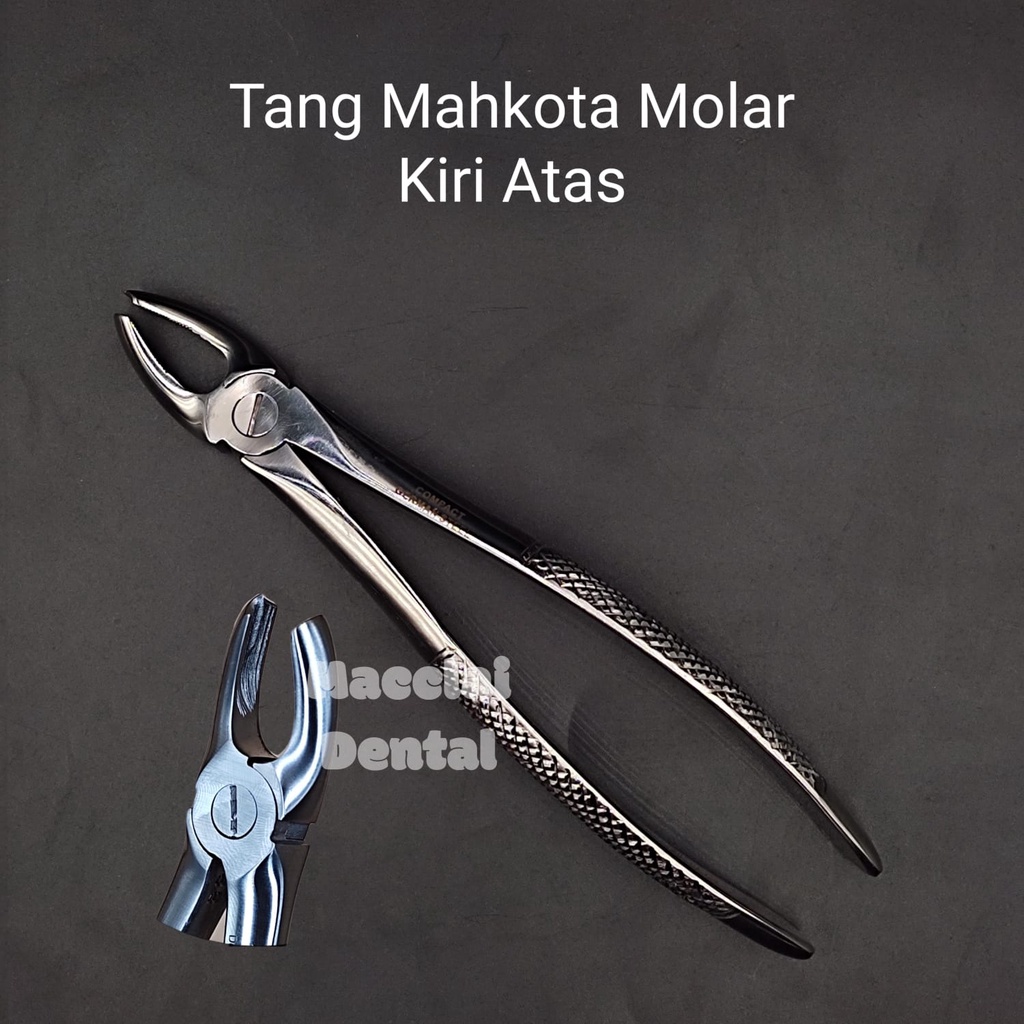 Jual DENTAL TANG CABUT GIGI DEWASA ECER / PER PCS TOOTH FORCEP SATUAN ...