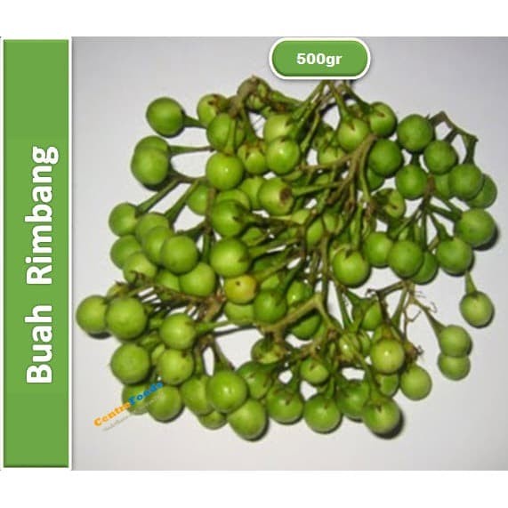 Jual Sayur Buah Rimbang - Tekok Takokak Fresh | 500gr [ Harga Per 0,5 ...