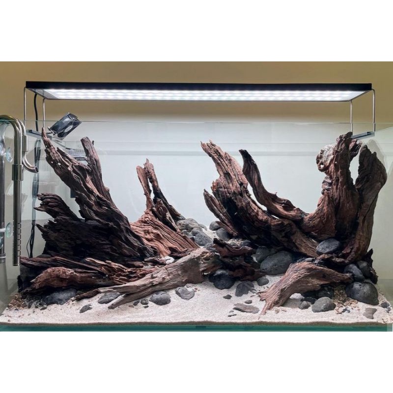 Jual Kayu Rentek Aquascape Paludarium Size M | Shopee Indonesia