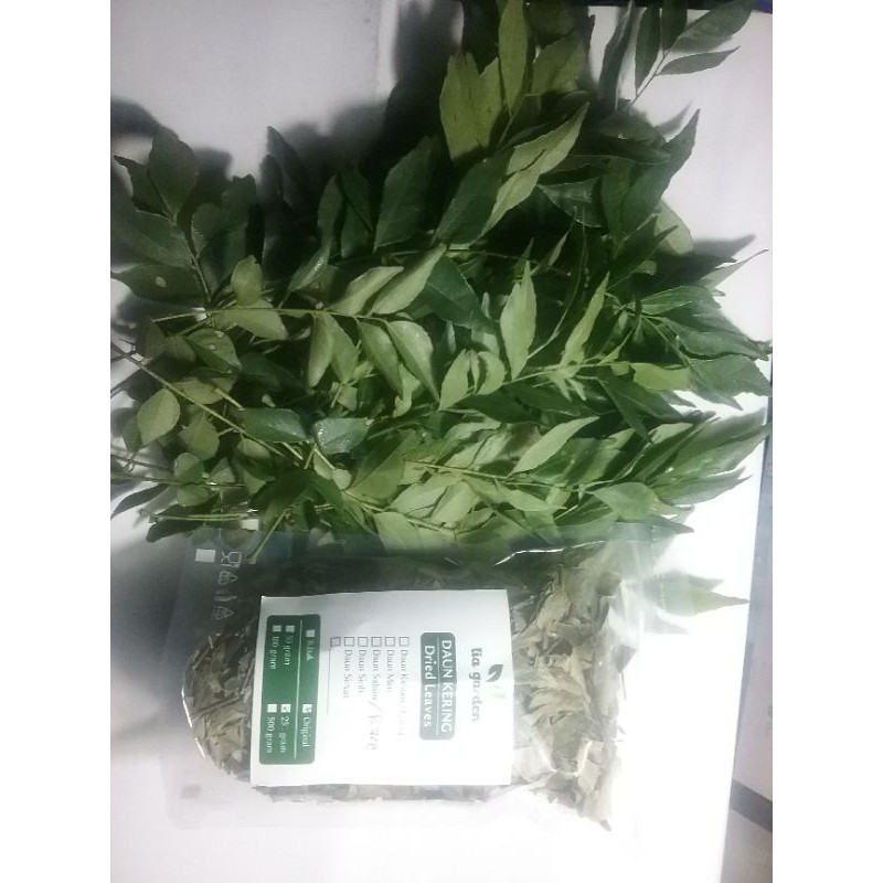 Jual DAUN SALAM KOJA/ DAUN KARE/ DAUN TEMURU/ DAUN KORO KELING KERING ...