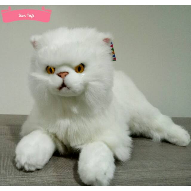 Jual Boneka Kucing Angora | Shopee Indonesia