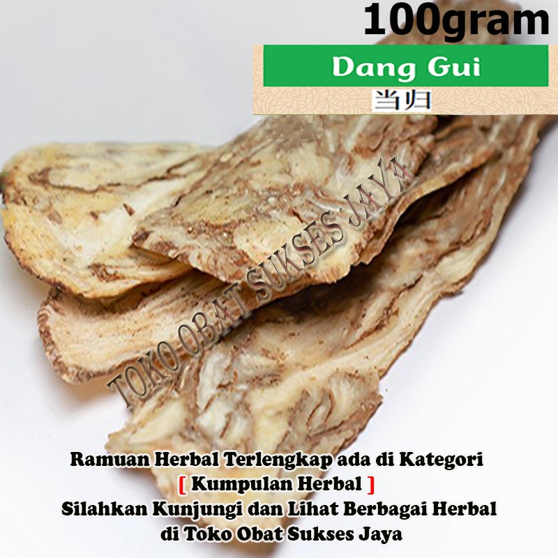 Jual [100gram - Grade A] Dang Gui - [ 当归 ] - Radix Angelicae Sinensis ...