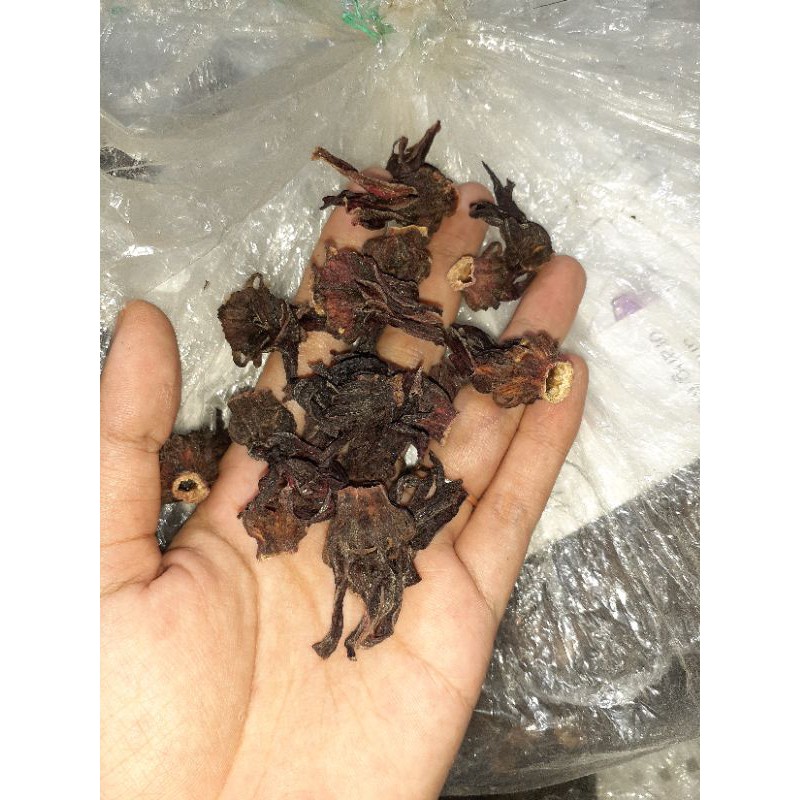Jual rosella merah stok lama warna sudah berubah murah manfaat masih ...