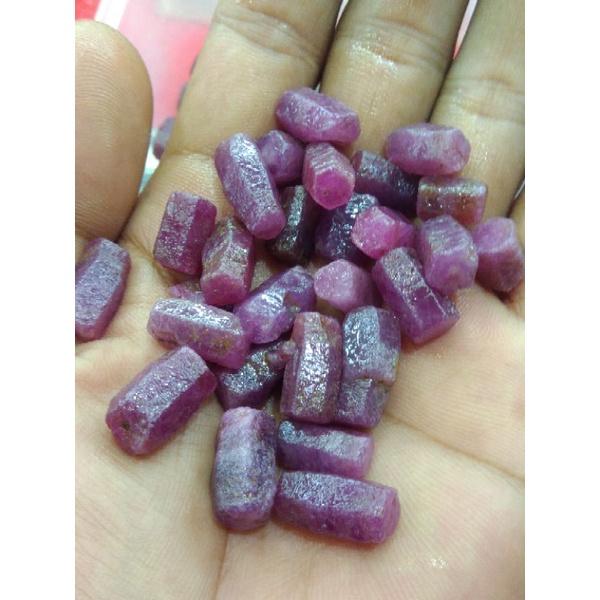 Jual ruby daging Harga Terbaik & Termurah Oktober 2023 | Shopee Indonesia