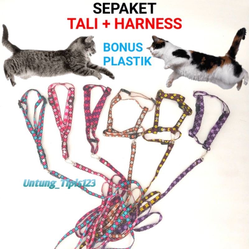 Jual Tali Tuntun harness Anjing kucing sepaket motif batik harnes ...