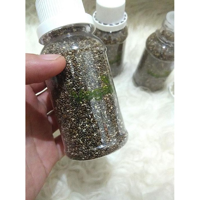 Jual Chia seed botol (85 gr) | Shopee Indonesia