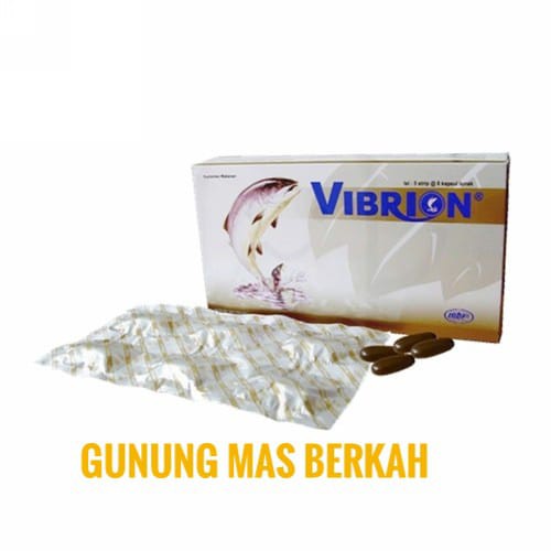 Jual Vibrion 30 Kapsul | Shopee Indonesia
