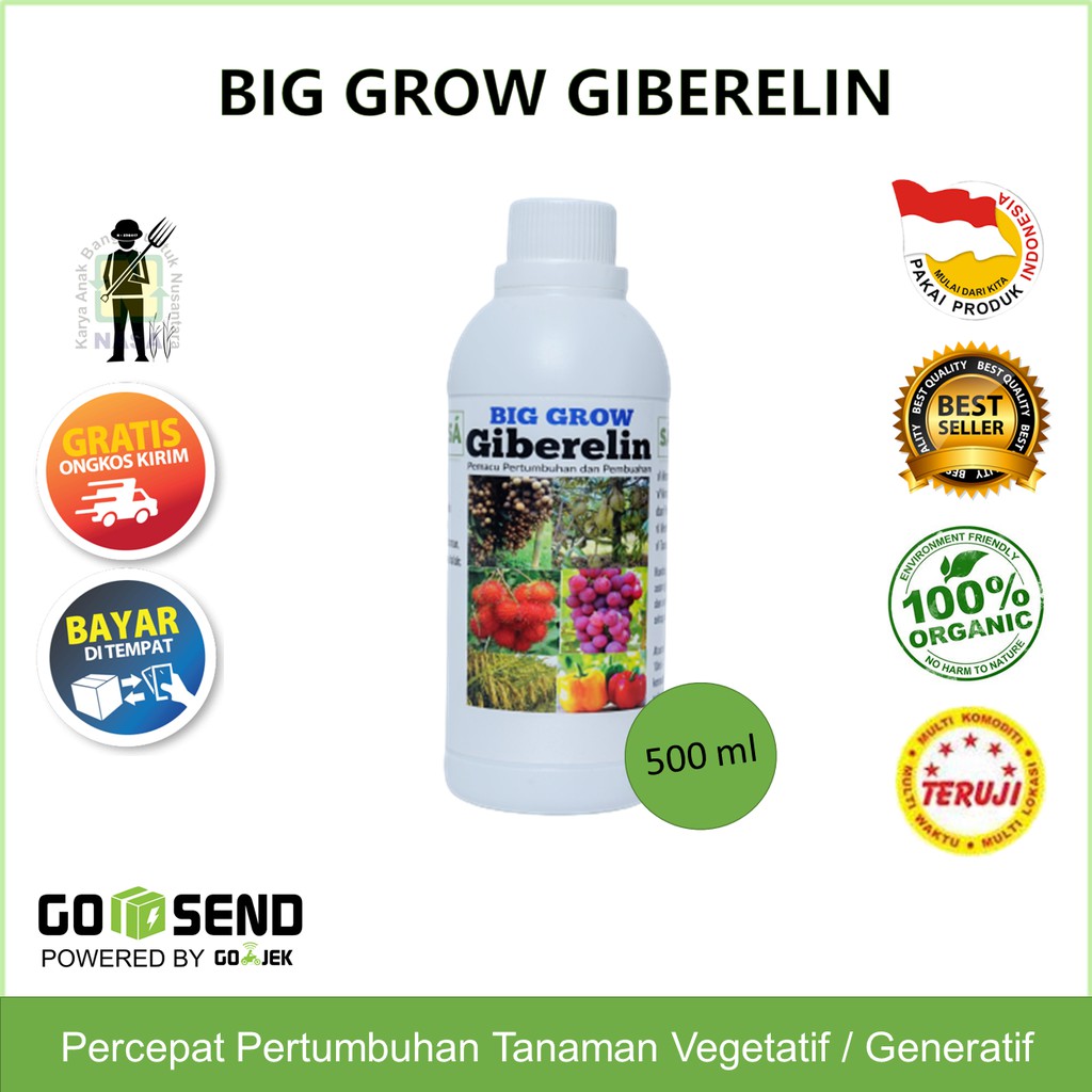 Jual Pupuk Cair Grower Booster Big Grow Giberelin 500 ml - Penyubur ...