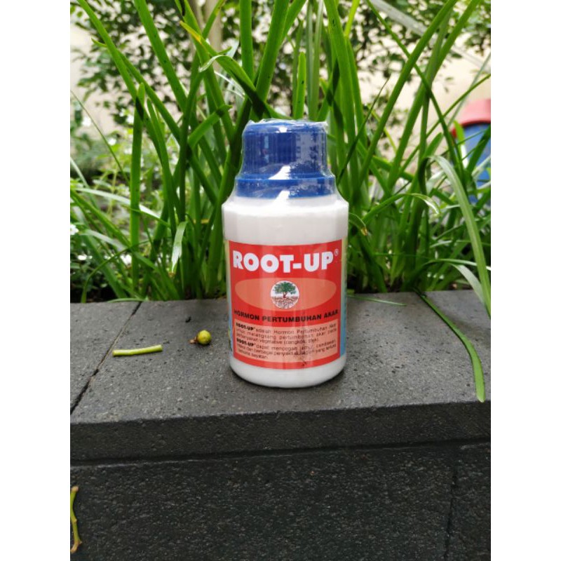 Jual Root Up 100 gram atau pupuk pertumbuhan akar | Shopee Indonesia