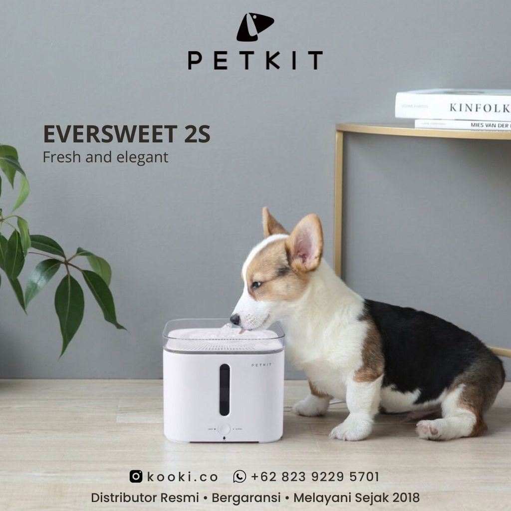 Jual PETKIT Eversweet 2S Water Fountain | Shopee Indonesia