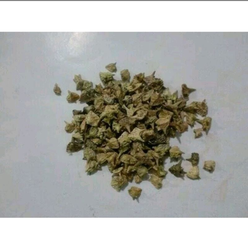 Jual 600 G GR GRAM 白蒺藜 BAI CI JI LI PUNCTUREVINE CALTROP FRUIT FRUCTUS ...