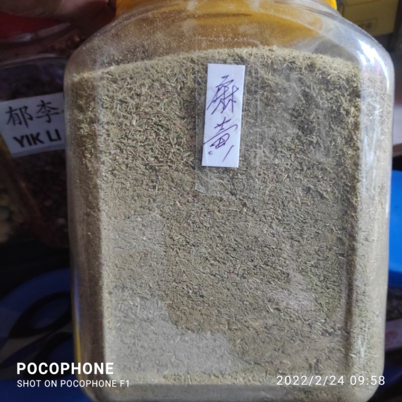 Jual 100gr Herbal Bubuk Ma huang 麻黄粉 Ephedra / Chinese Ephedrs Herb ...