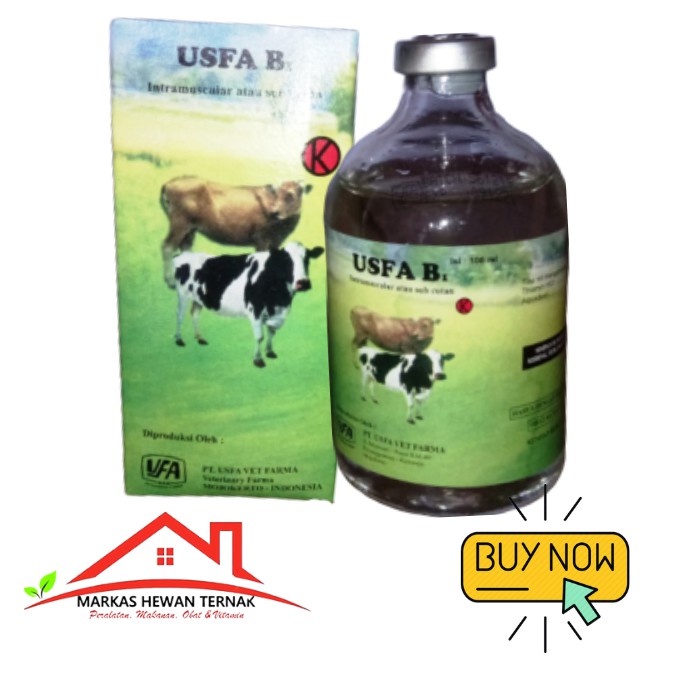 Jual VITAMIN B1 INJEKSI HEWAN TERNAK SAPI KAMBING DOMBA 100ML | Shopee ...