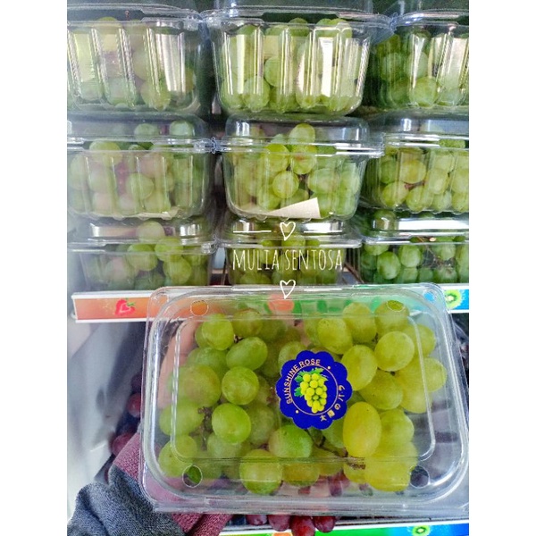 Jual Anggur hijau Sunshine Rose fresh / Anggur muscat hijau manis fresh ...