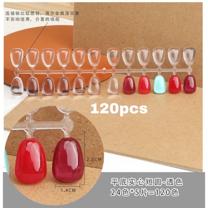 Jual Nail display color charts bentuk bulat Rounded Display kutek ...