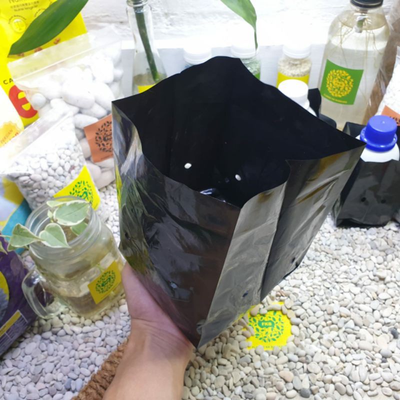 Jual Polybag Buah Pohon Bunga Eceran Bibit Uk. 25x25 PxL 12x21 Tanaman ...