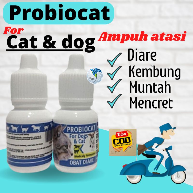 Jual Obat Kucing Anjing Mencret Obat Diare kucing Anjing Obat gangguan ...
