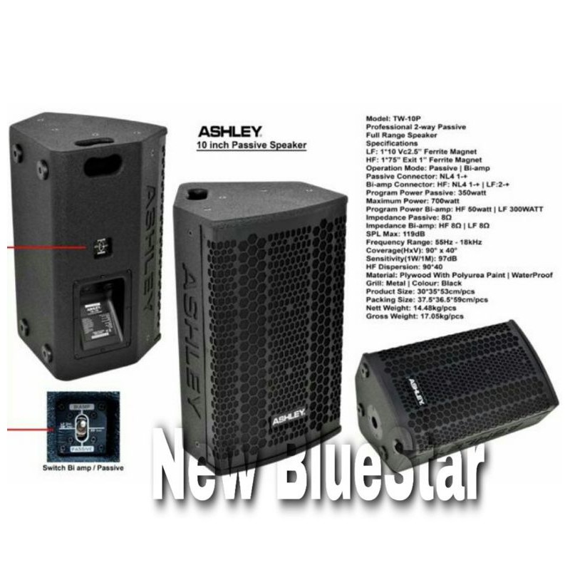 Jual Speaker-Salon Pasif Ashley TW 10P Original Passive TW10P - 10 inch ...
