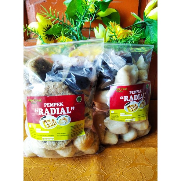 Jual Radial, Pempek / mpek-mpek ASLI Palembang isi 25 buah campur ...
