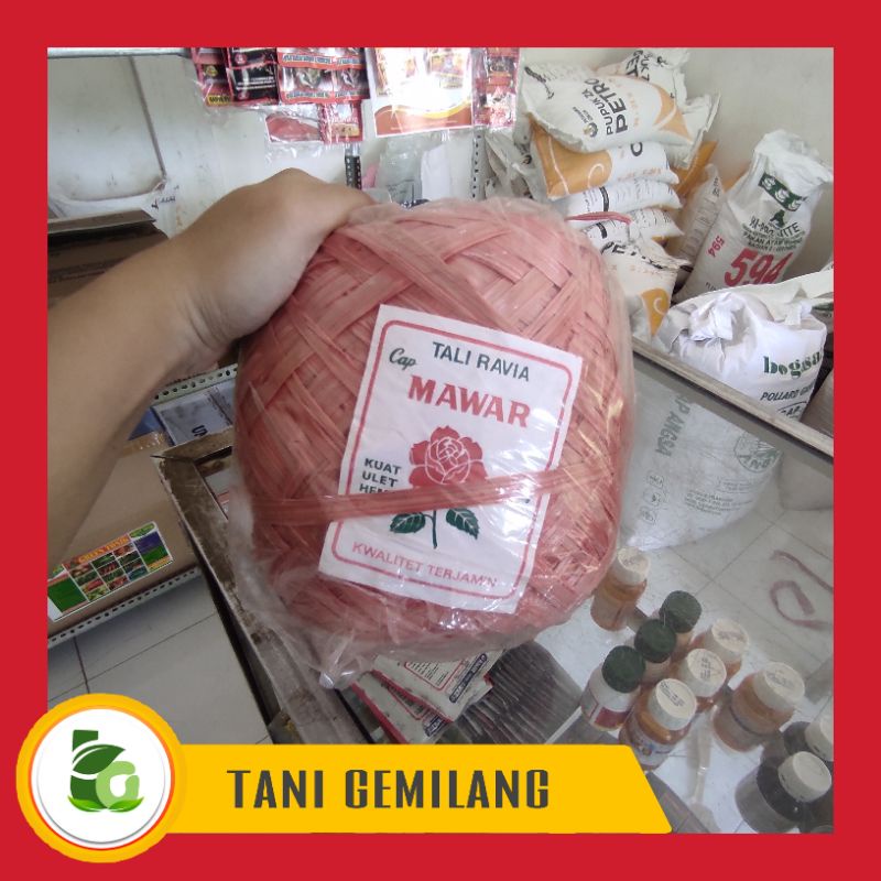 Jual TALI RAFIA RUMPUT JEPANG 1KG | Shopee Indonesia