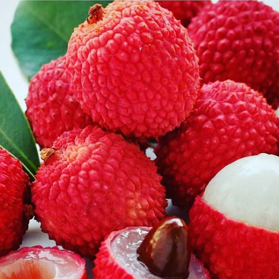 Jual buah leci merah leci kom/tanaman leci merah | Shopee Indonesia