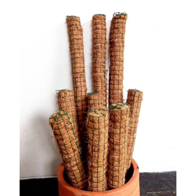 Jual Turus penyangga tanaman | Turus tanaman | turus 30 cm | Shopee ...