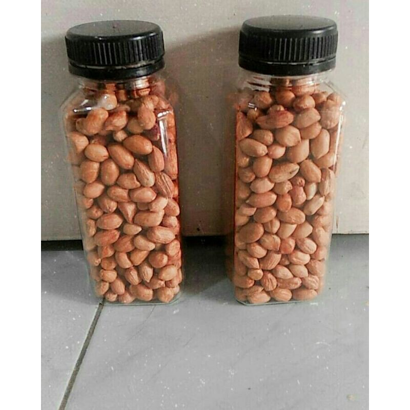 Jual cemilan hamster kacang tanah | Shopee Indonesia