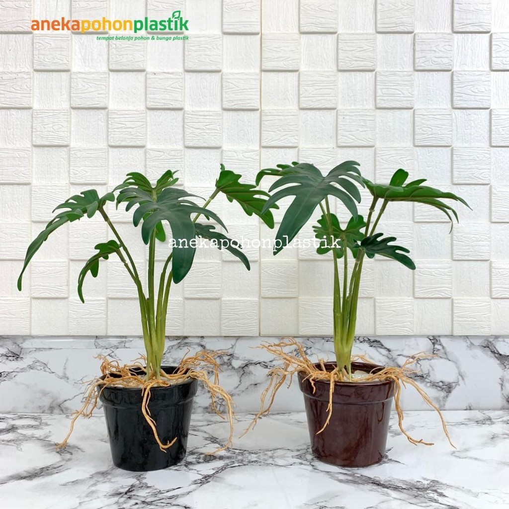 Jual Tanaman Hias Mini Monstera Jari Akar Latex Artificial Vas Porselen ...