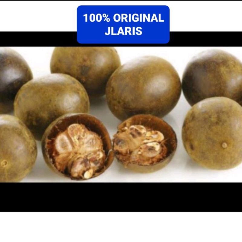 Jual Buah Lo Han kuo ( LOU HAN GUO ) | Shopee Indonesia